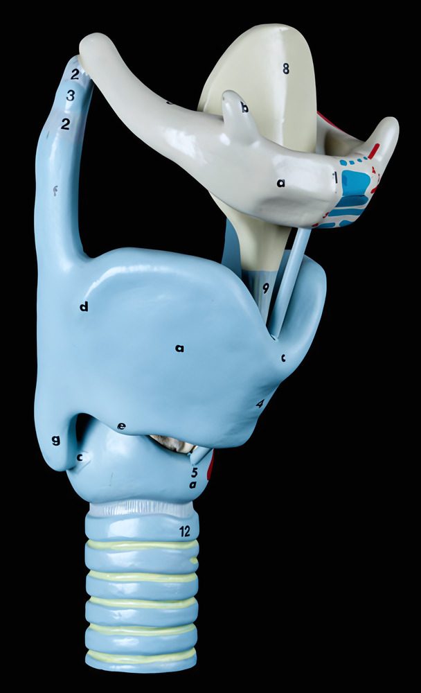 Db-57 – Anatomionline.dk