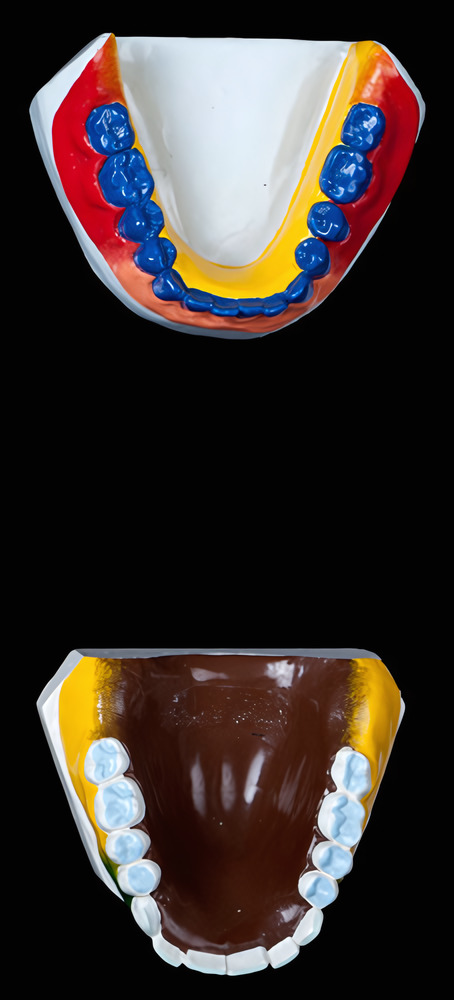 Db-64 – Anatomionline.dk